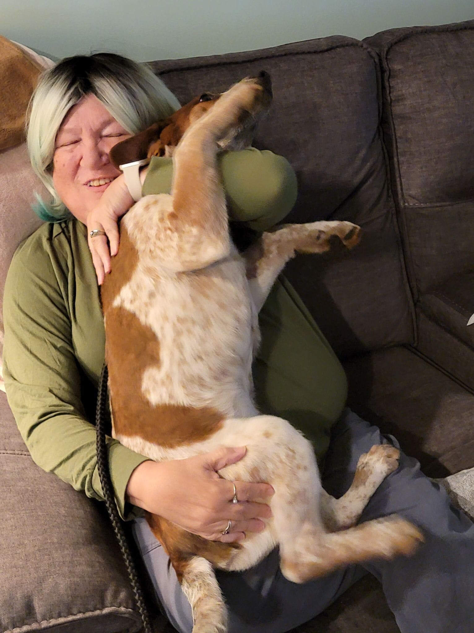 Woof Woof a New Member Of IW is Coming to Visit – Trish Robichaud Coaching